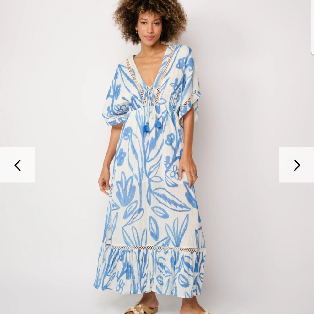 Zl Europe Dessin Blue White Maxi Dress - Gem